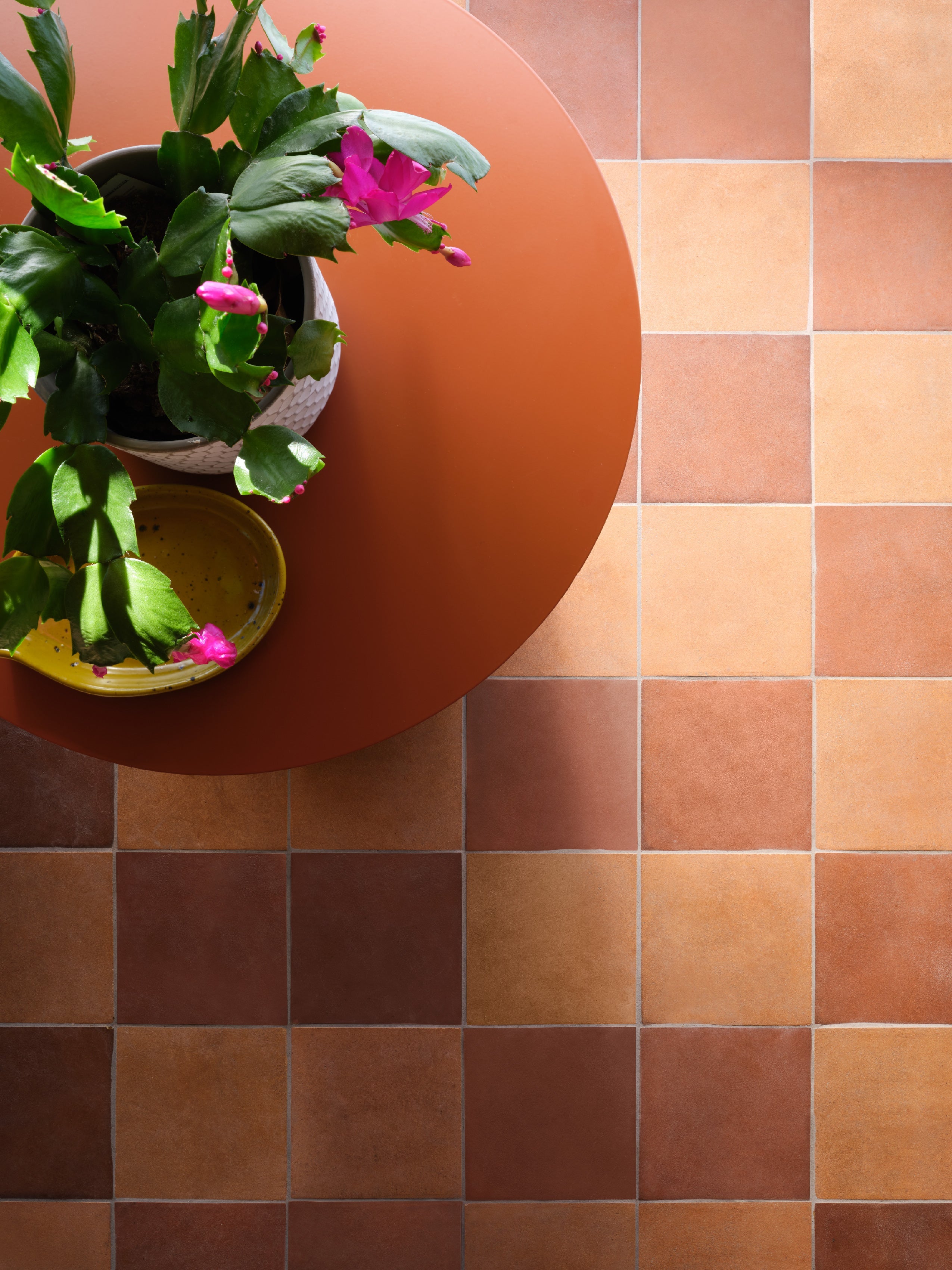 Specialty Terracotta Collection | Natural Clay Tile by Clay Imports
