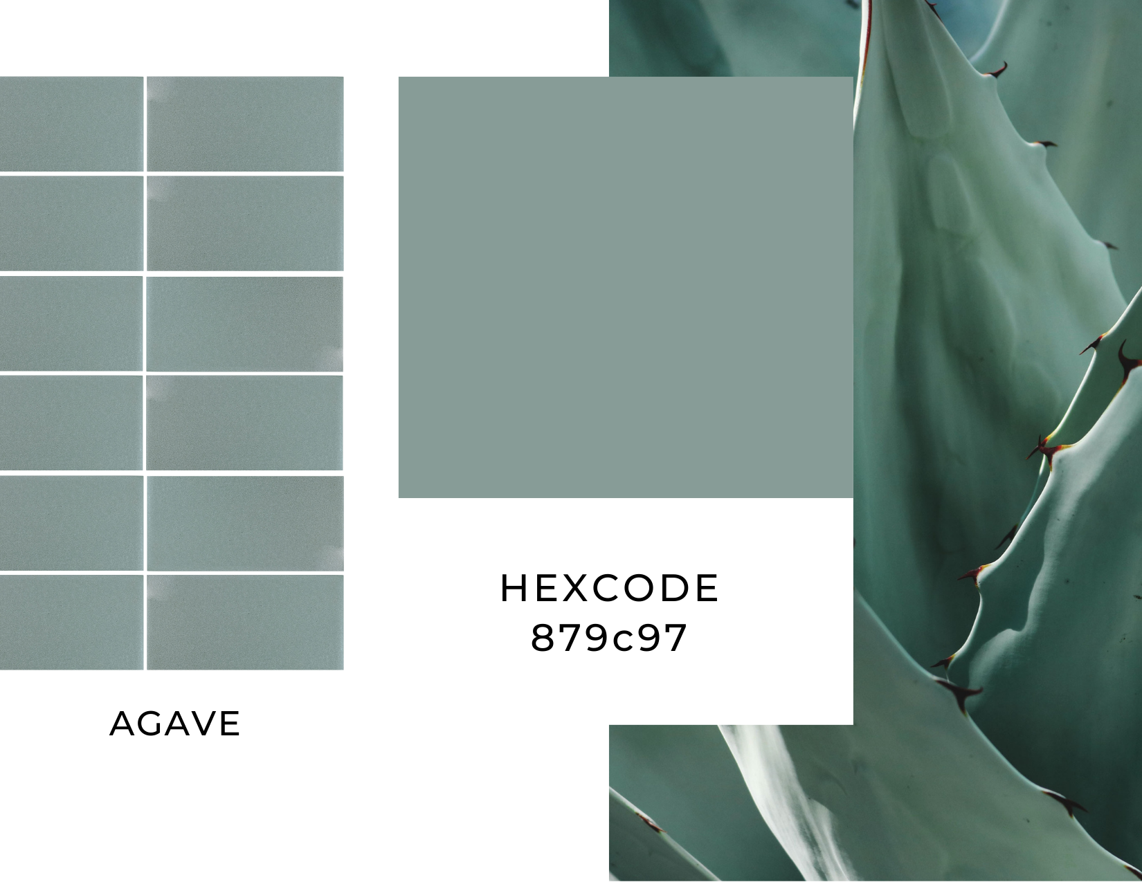 Oval Agave 4"x8" l Dimensional Tile l Clay Tile l Low Maintenance Tile ...