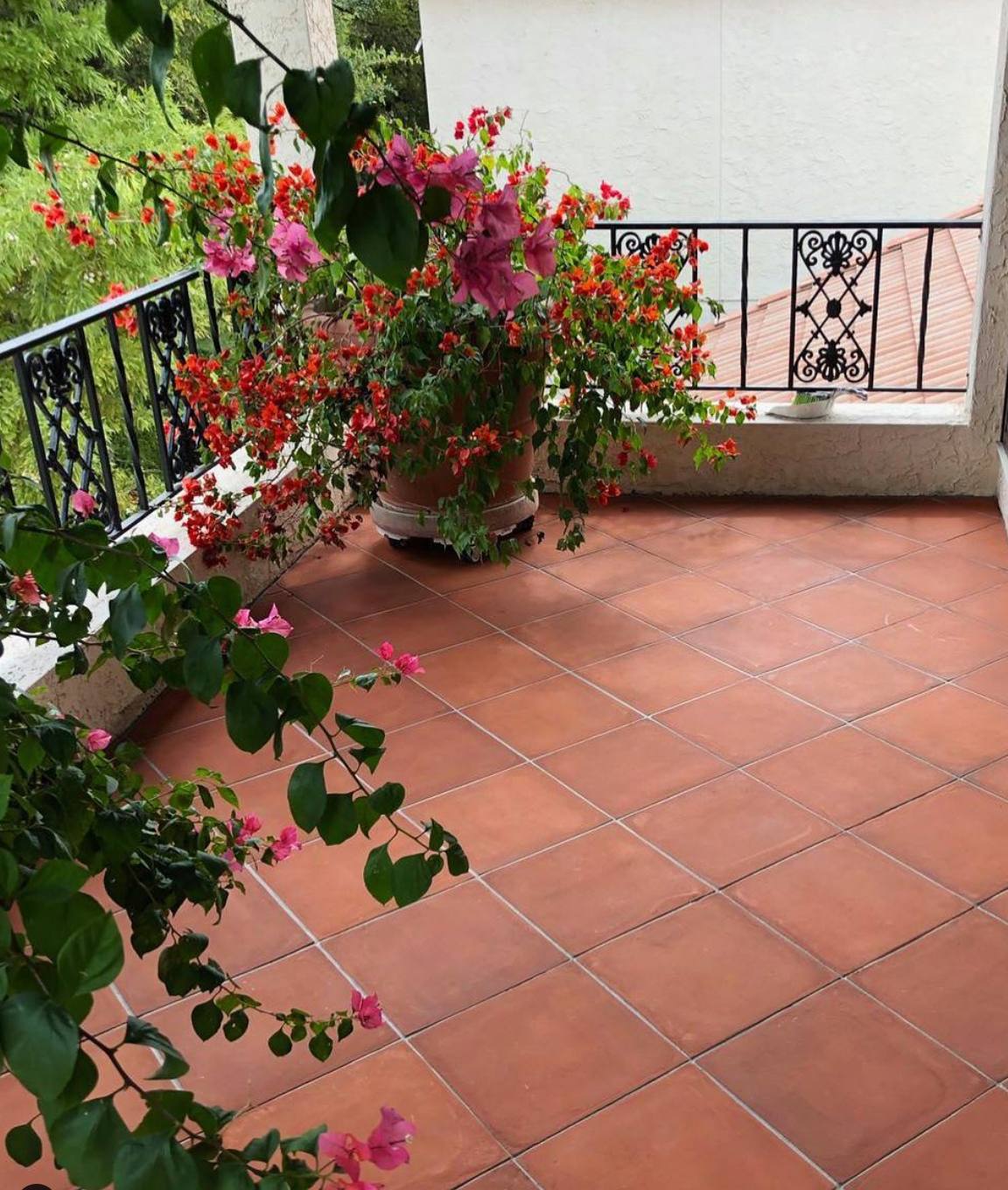 Cotto Tierra 13x13 Tile – Deep Red Matte Terracotta | Clay Imports