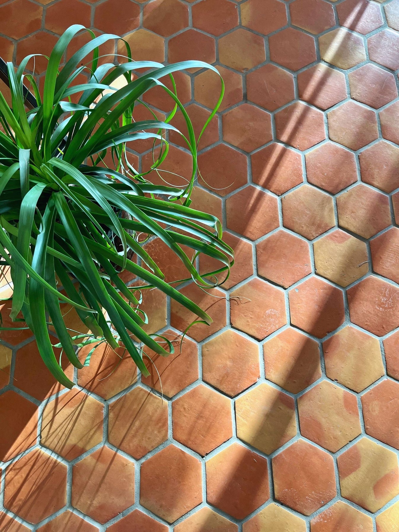 Hexagon 6" Saltillo Tile – Mid-Sized Smooth Gloss Handmade Terracotta ...