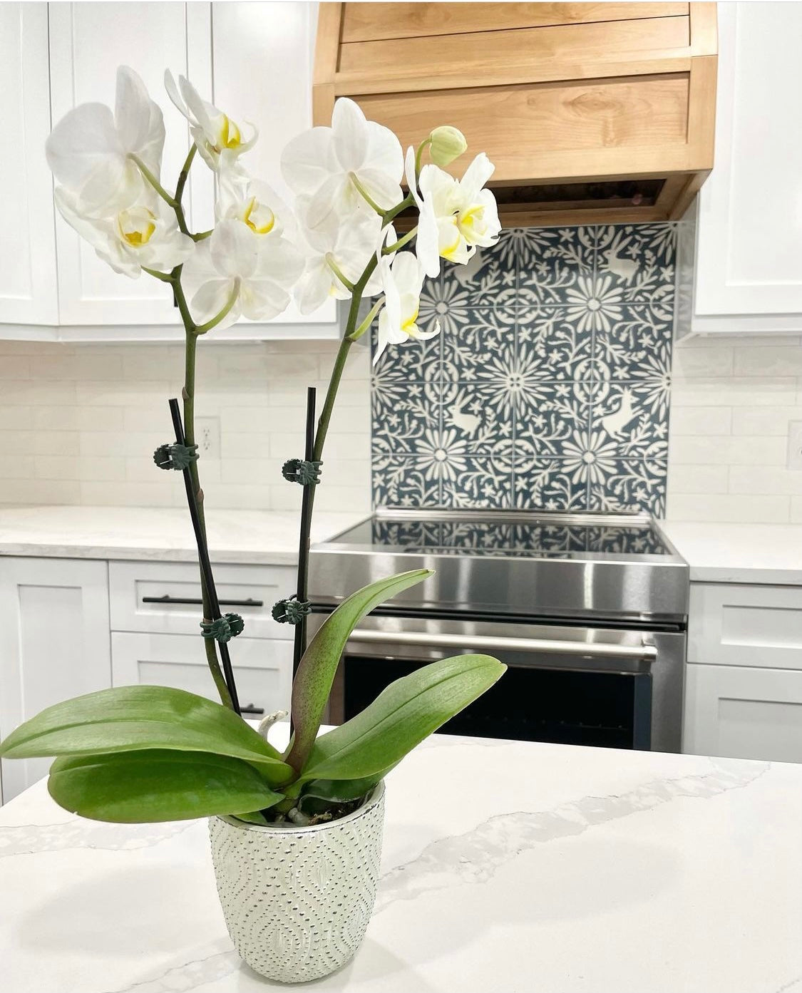 Jardín de Luna Rabbit San Miguel Midnight 8"x8" – Clay Imports